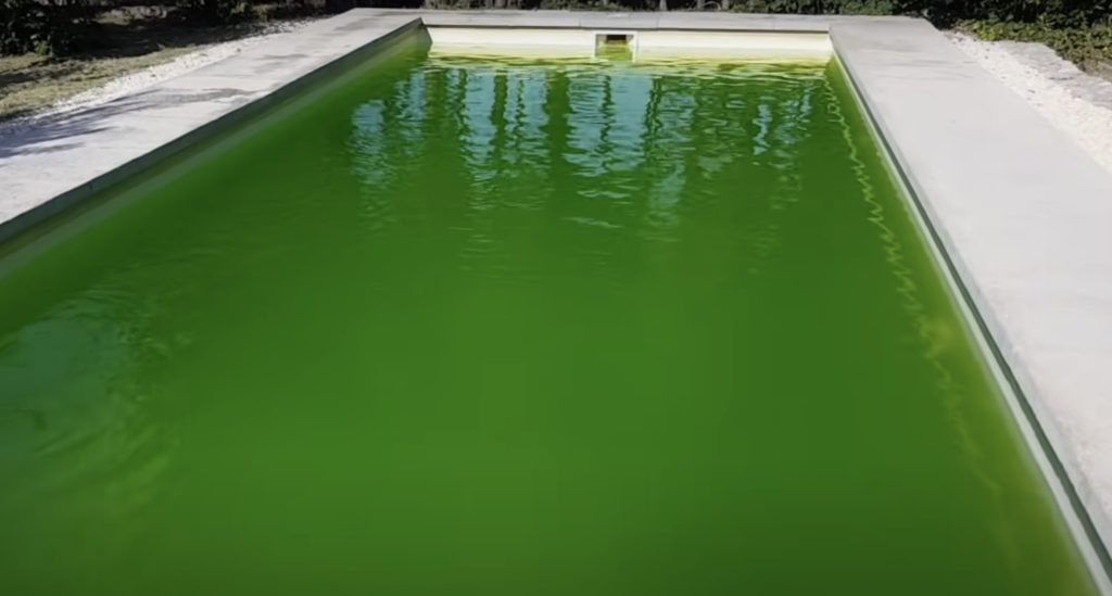 Eau de piscine verte : les remèdes de grand-mère à esssayer